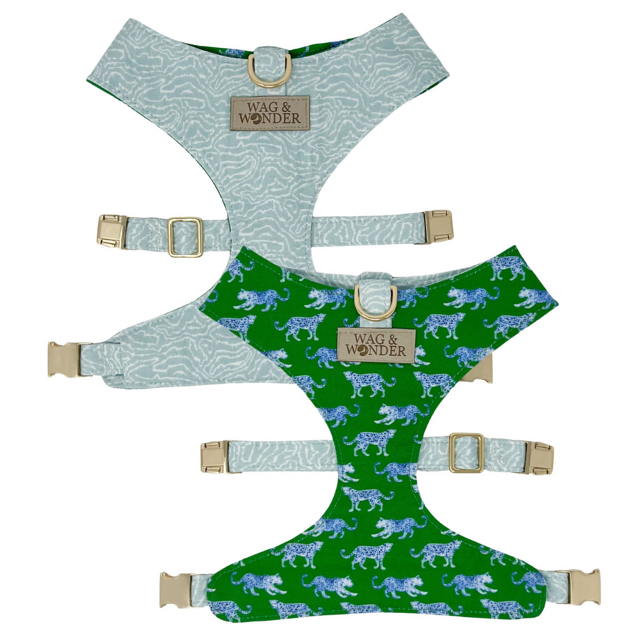 HARNESSES – Wag & Wonder