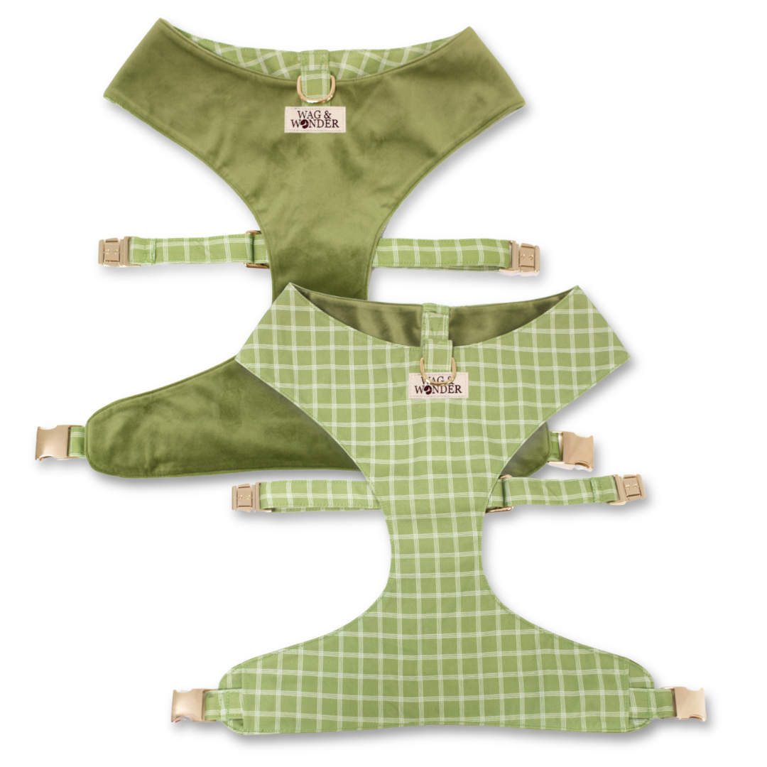 Meadow Reversible Dog Harness – Wag & Wonder