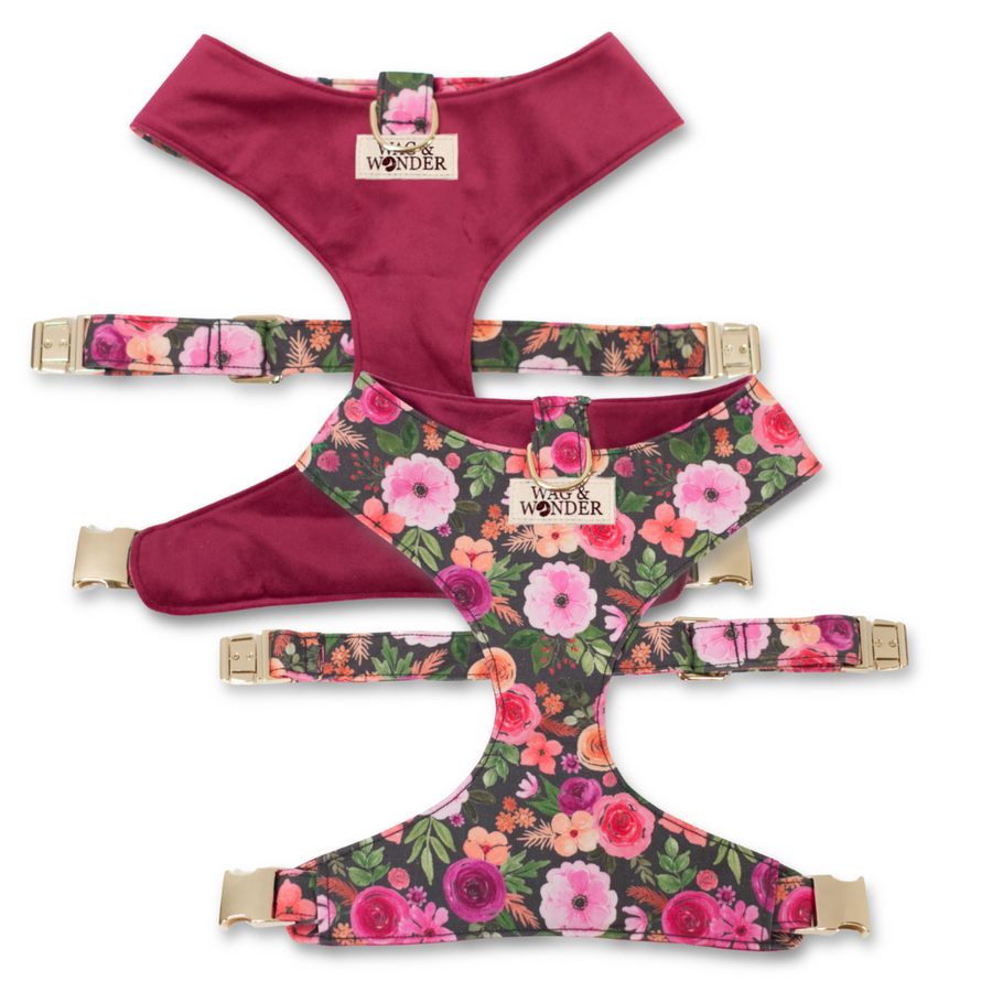 HARNESSES – Wag & Wonder