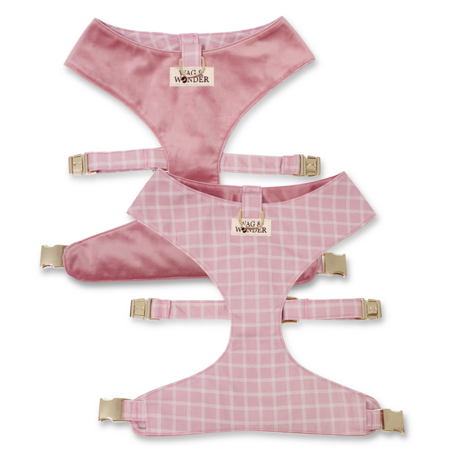 HARNESSES – Wag & Wonder
